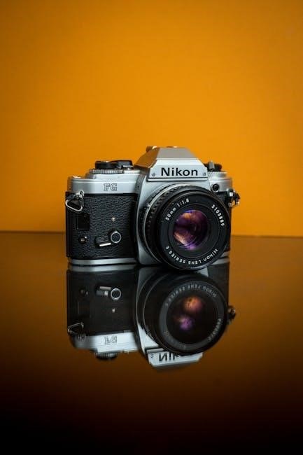 Nikon D80 Manual - Free PDF Guide & Tips | Gano Excel Mexico